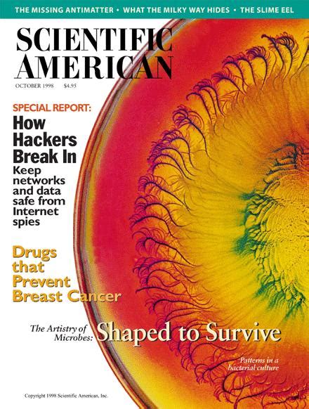 Cryptography For The Internet Scientific American