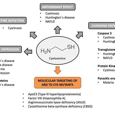 Strategy Of Cysteine Residues Modification In Proteins By Aminothiols