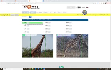 Problem Fetching Inspection Image Bug Reports Wild Me Community Forums
