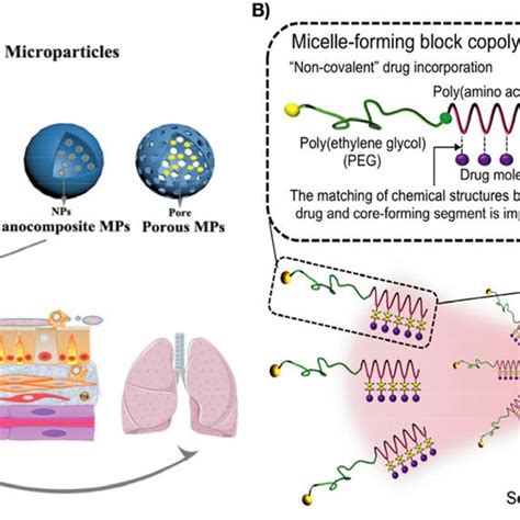 Polymeric Nanocarrier Systems In Anti Microbial Drug Delivery Applications Download