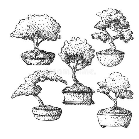 Bonzai Tree Set Sketch Hand Drawn Black Stock Vector Illustration Of Bonsai Trunk 390282590