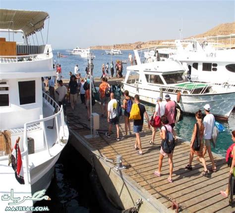 مجموعة تتوجه لركوب اليخت على شاطئ بمنتجع شرم الشيخ Sharm Elsheikh