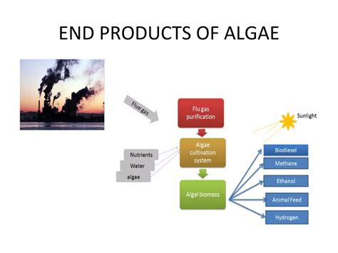 Algae Based Co2 Capture Ppt Chemistry Science