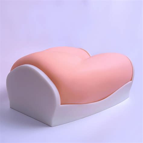 Ultrasound Maternity Modelclearly Demonstrates Bladderuterus Amniotic Fluid