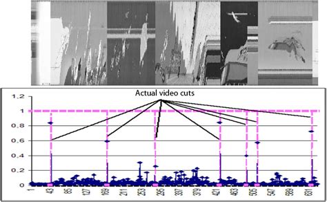 Example Of Cardinality Matching Of A Real Video On Top Is Visual