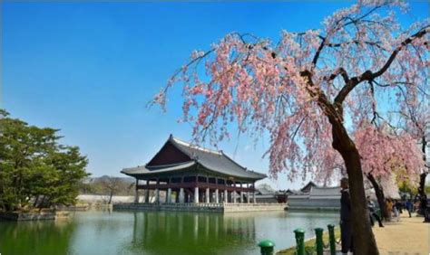 문화재청 경복궁 경회루 특별관람 실시 파이낸셜뉴스