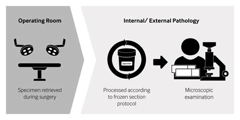 Surgical Pathology Flow Of Digital Consultations