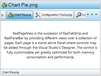 Radpageview Next Generation Winforms Navigation Cont