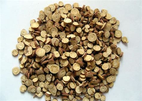 Bupleurum Chinense Radix Bupleuri Thorowax Root Hares Ear Root Bell Garden Company Wholesale