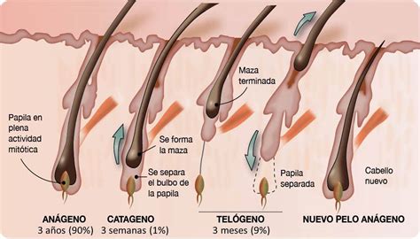 Dermapixel Marzo 2021