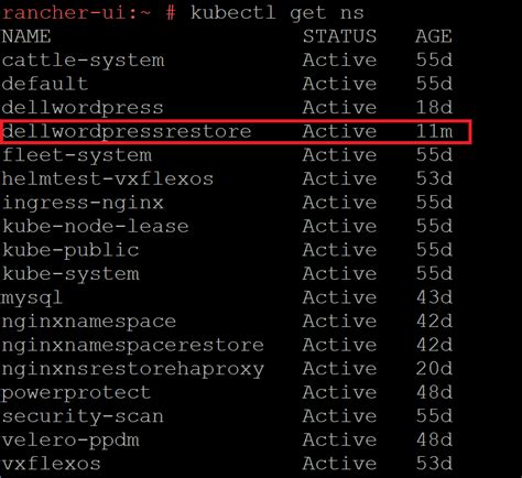 restoring the namespaces and pvcs to rancher kubernetes cluster suse