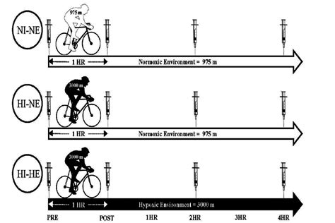 Steady State Exercise Trial Outline Participants Completed Three 1 Download Scientific Diagram