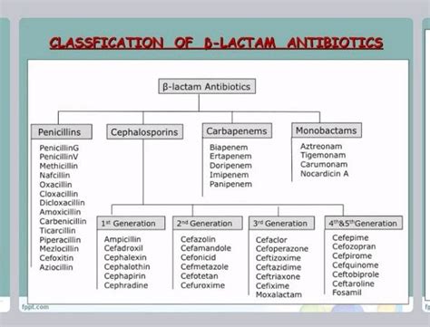 Classification Of Beta Lactam Antibiotics Farhan Zia