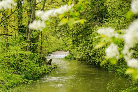 Nature  Image In Hd Free
