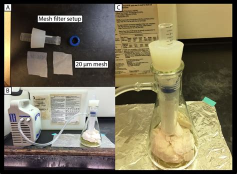 Fig Ure 4 Fig Ure 4 Photo Of A The Materials Used In The Mesh Filter Download Scientific