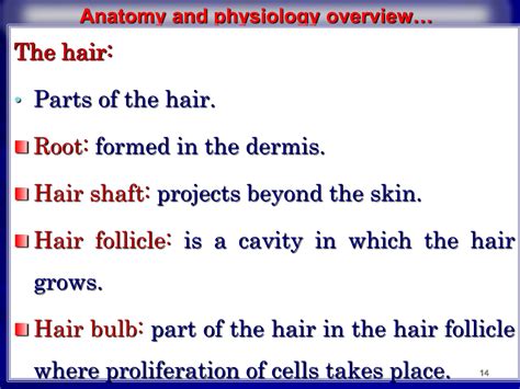 INTEGUMENTARY SYSTEM June Pptx