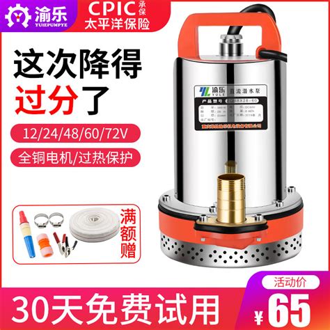 渝乐12V直流潜水泵24V48V60V伏电动车电瓶式小型抽水泵机农用灌溉 虎窝淘