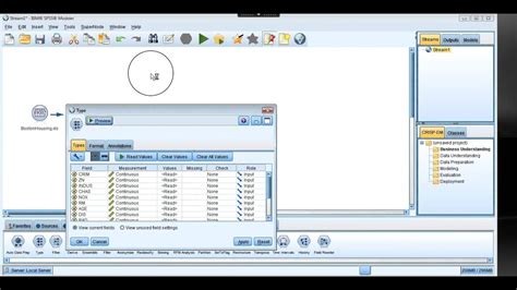 Importread Excel Data File With Ibm Spss Modeler Youtube