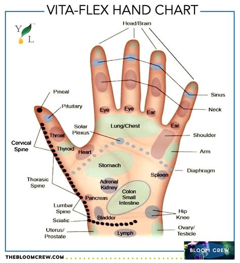 Target Support Vita Flex Points