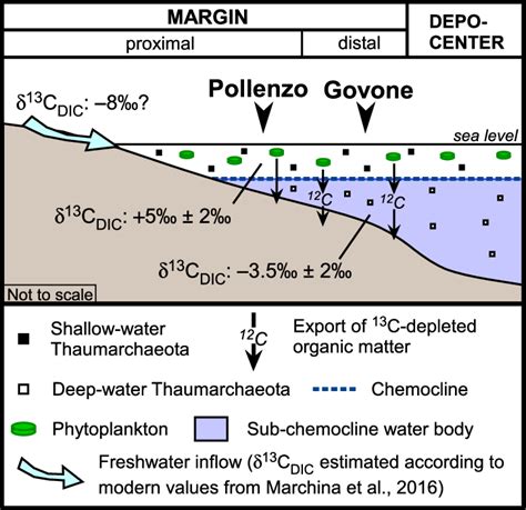 δ 13 C Dic Values In Stratified Water Mass Of The Piedmont Basin At The Download Scientific