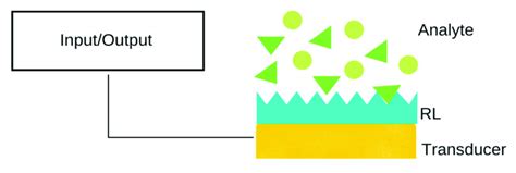 Schematic Representation Of A Biosensor Download Scientific Diagram
