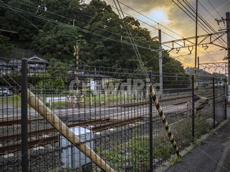 Trainstation Train 기차 차량 Vehicle 사진 이미지 일러스트 캘리그라피 Seonghun작가