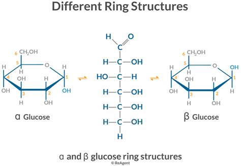 Fructose Linear Structure