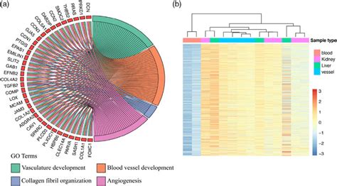 gene expression data a chord plot showing examples of up regulated