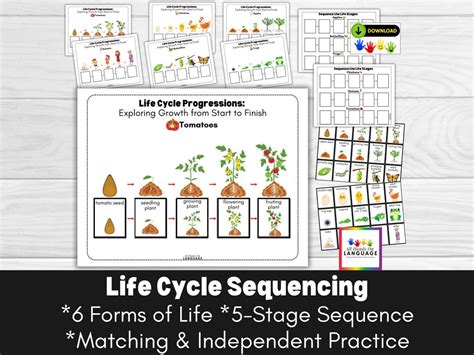 Life Cycle Sequencing Interactive Activities Linear Progressions 5 Stage Sequences Matching