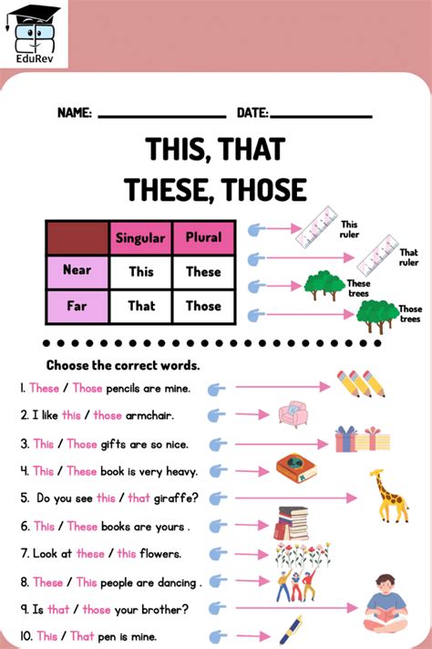 Printable Worksheet Determiners Worksheets With Solutions For Class 5 Pdf Download