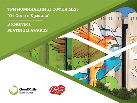 С гордост ви споделяме че графити проектът на София Мел „От сиво в красиво“ се състезава в 3