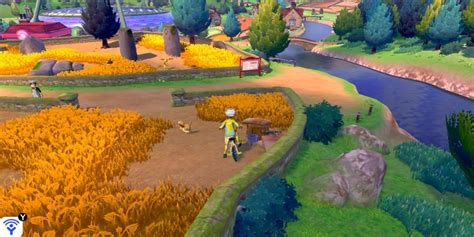 Where To Find Eevee In Pokemon Sword And Shield