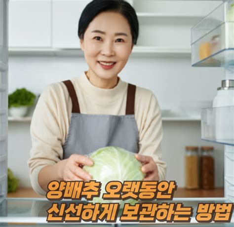 양배추 보관법 이렇게 보관하면 양배추 버릴 일 없습니다