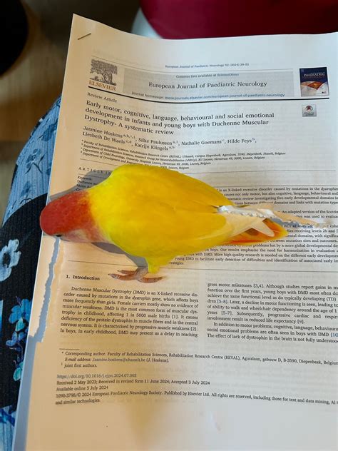 Apaperaday Early Motor Cognitive Language Behavioural And Social Emotional Development In