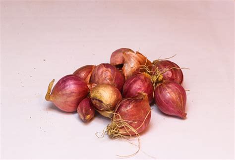 상단 보기를 심기위한 빨간 양파 흰색 배경에 양파 세트의 작은 머리 라일락 젊은 양파 0명에 대한 스톡 사진 및 기타 이미지 0명 가을 건강한 생활방식 Istock