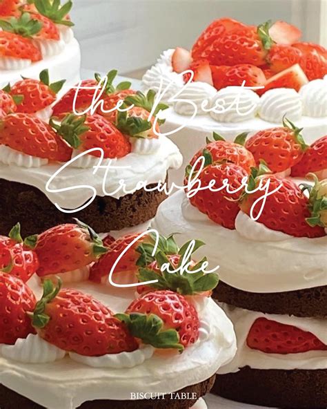 비스킷테이블2019 의정부 휘낭시에 의정부 딸기케이크 의정부 케이크 단체주문 비스킷테이블 입니다 ̎ 크리스마스케이크 문의주셔서 알려드립니다 예약 시작일은 다음주