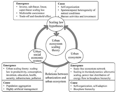 Scaling Laws In Urban Ecosystems A New Perspective On City Growth Top Africa News