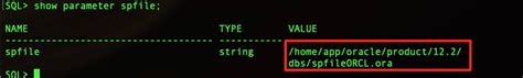 关于oracle12c性能（sga、pga）调优记录 unified audit sga queue size csdn博客