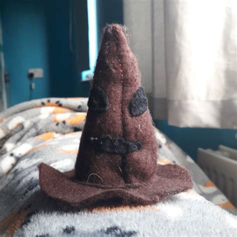 Stitch Trip Heres A Picture Of The Sorting Hat From