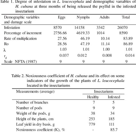 Represents The Damage Caused By The Psyllid In All Its Development