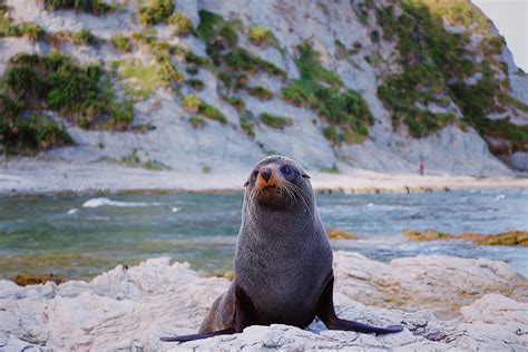 Pinniped V090 Bring Your Ldap Identities To Your Kubernetes Clusters