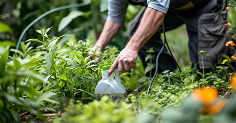 Eddik Mot Ugress En Effektiv Metode