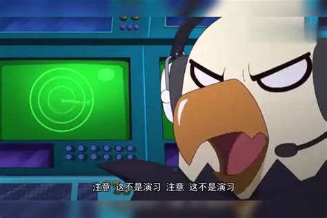 那年那兔那些事儿：再也不用受鹰酱欺负，种花家领空我们来守护 领空 事儿 守护