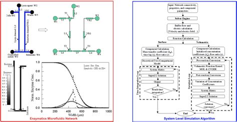System Level Modeling Openscholar