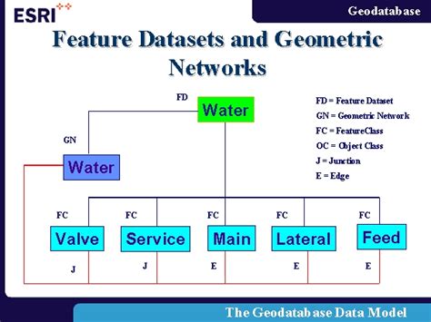 Feature Datasets And Geometric Networks