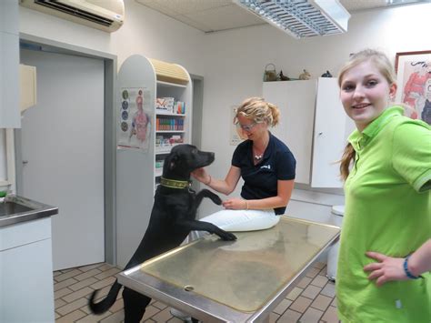 Kleintierpraxis Dr Med Vet Juliana Bartl Garching Bei München
