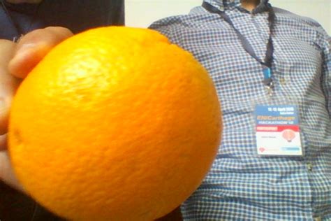 rebai ahmed portfolio