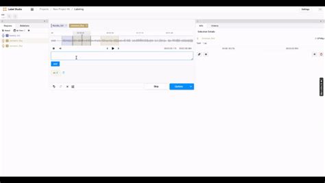 Nlp And Audio Annotation Services Annotation Flow