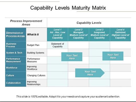 Product Maturity Levels