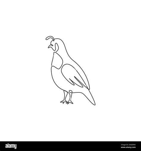One Single Line Drawing Of Adorable California Valley Quail For Poultry Logo Identity Dust Bath